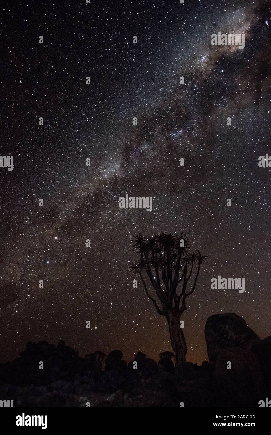 Beautiful scene of milky way over Quiver tree forest in Namibia Stock ...