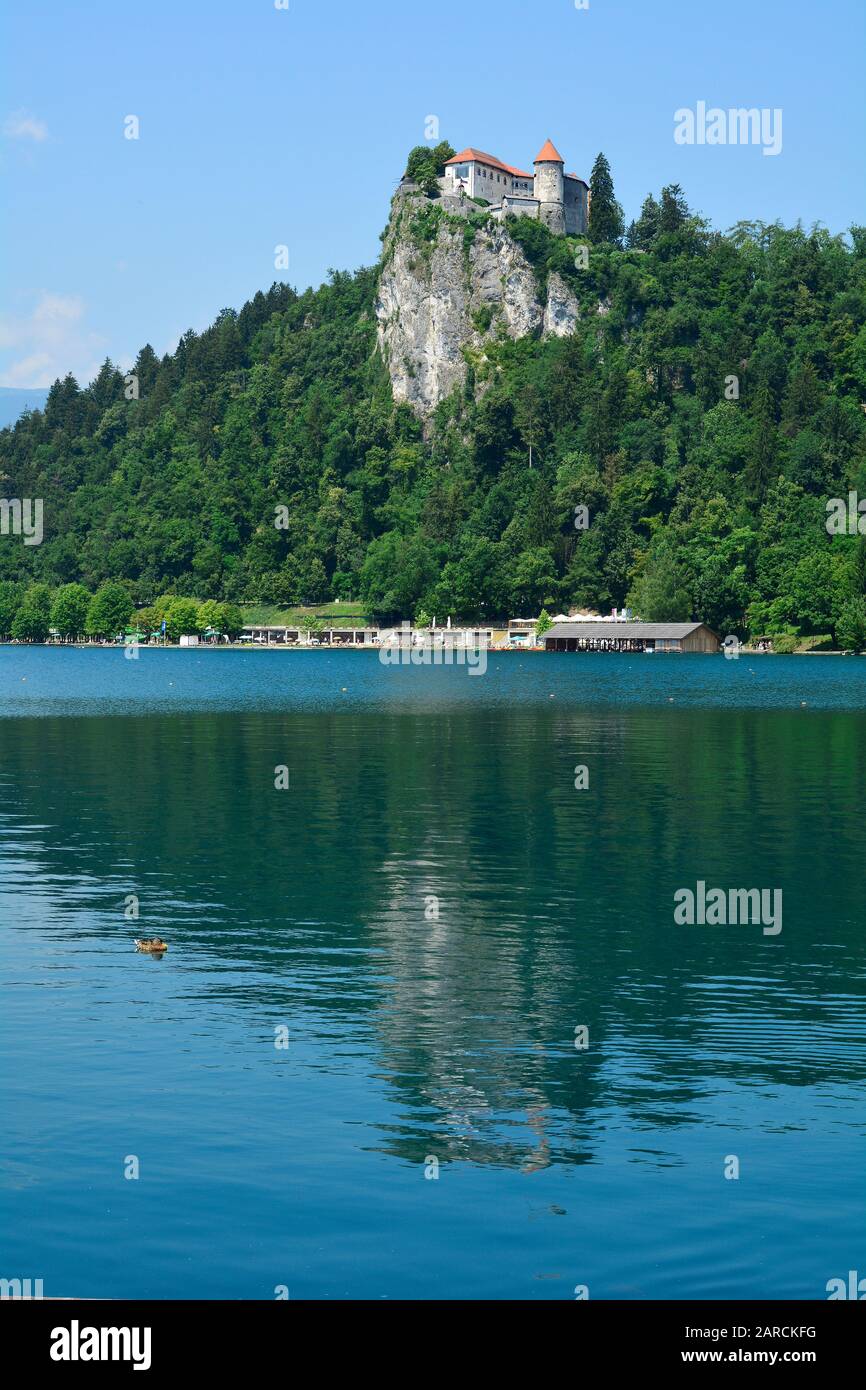 Slovenia, castle Bled aka Blejski Grad and Bled lake aka Blejsko Jezero ...