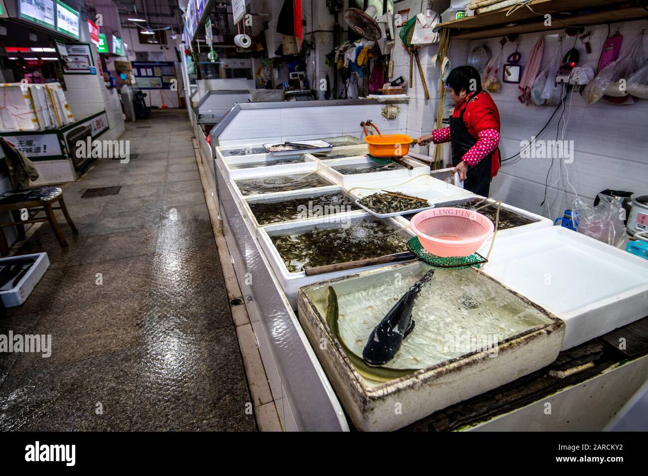 Shanghai, China - Seafood Market Shanghai, China, 26th Jan 2020, A ...