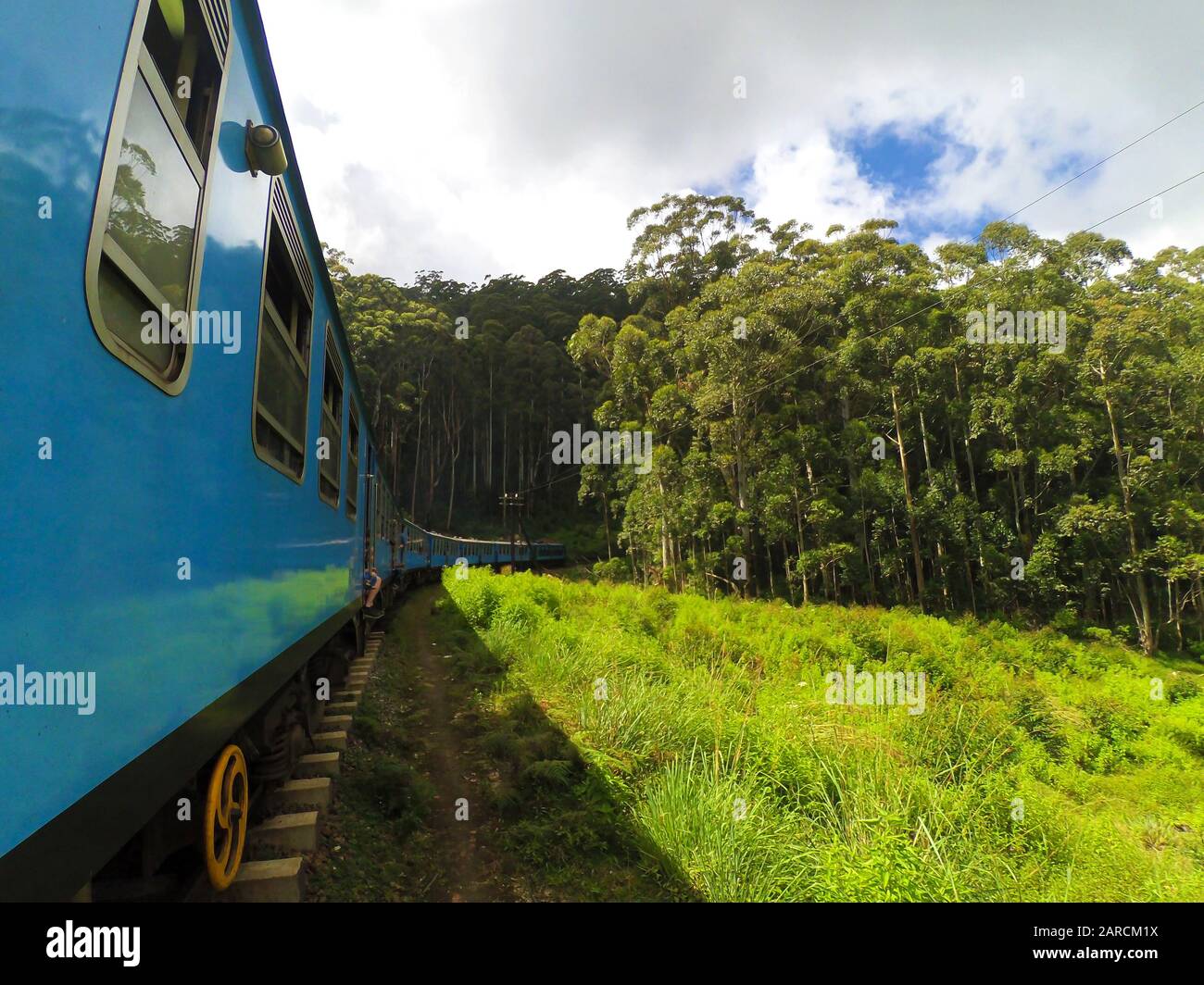 Passenger train rides through forest hi-res stock photography and ...