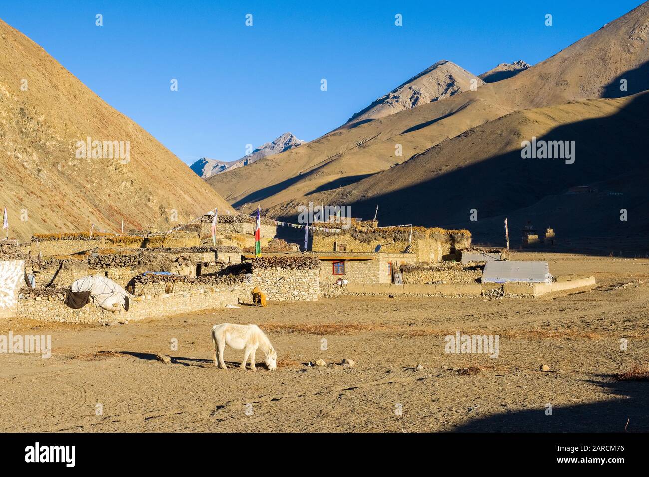 The ethnically Tibetan village of Dho Tarap, visited on the Lower Dolpo ...