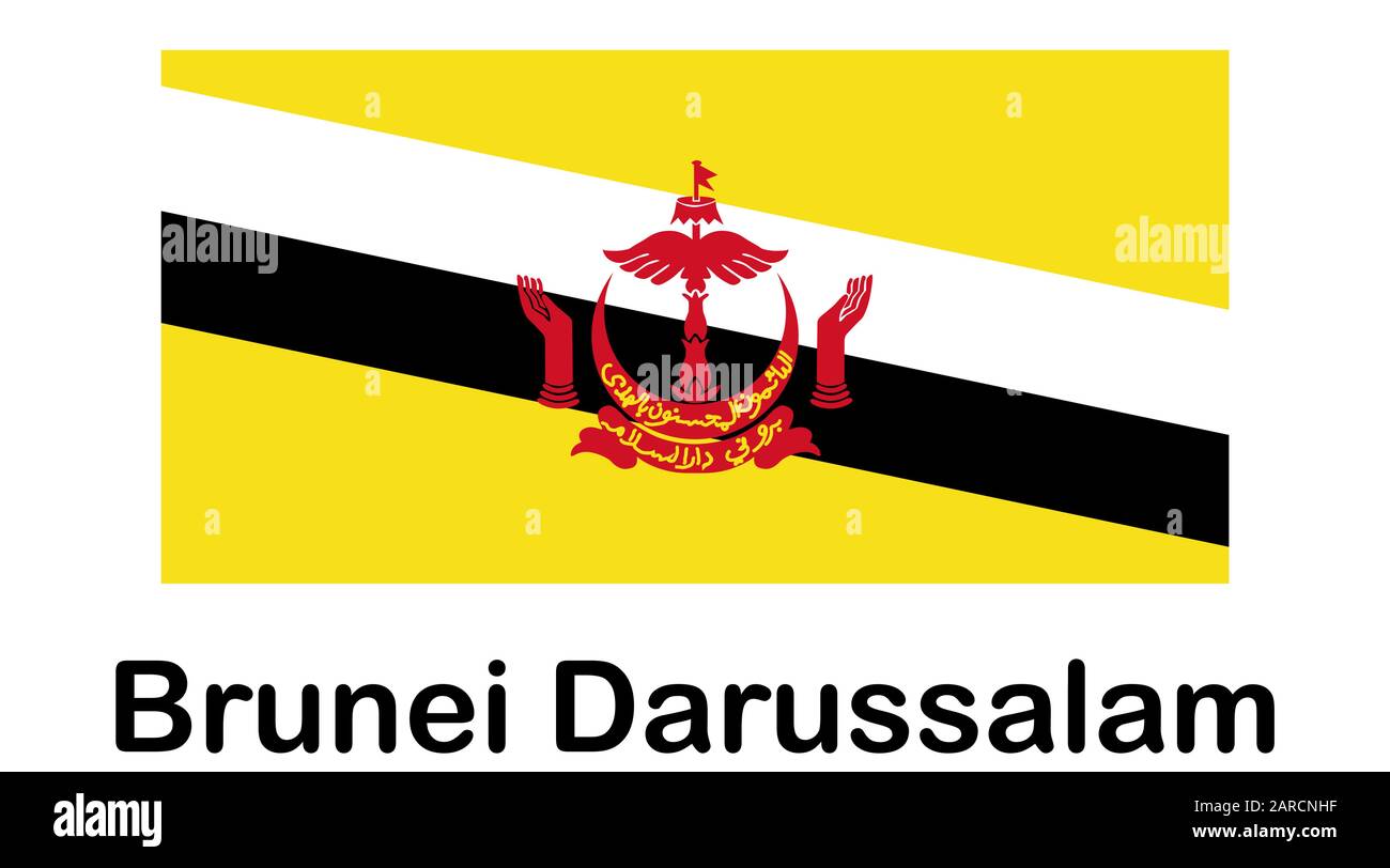 Brunei Darussalam Flag Button. icon flag of Brunei Darussalam on white ...