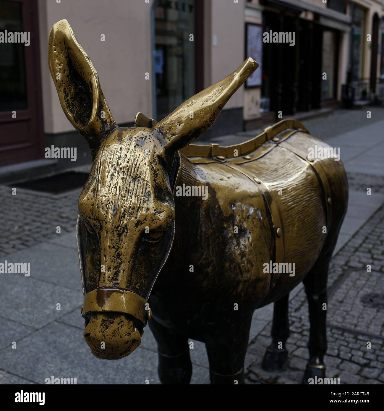 a brass figure of a donkey near the Old Market Square in Torun, Poland ...