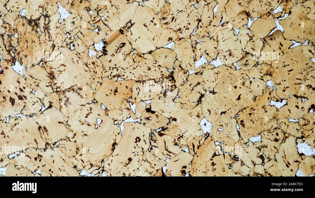 The texture of the cork. Wall Covering Cork White Accents. Cork board ...