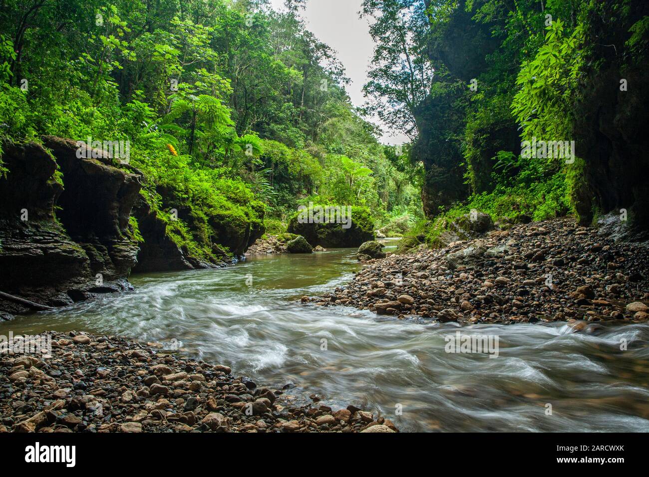 Tanama River, near Utuado, Puerto Rico Stock Photo - Alamy
