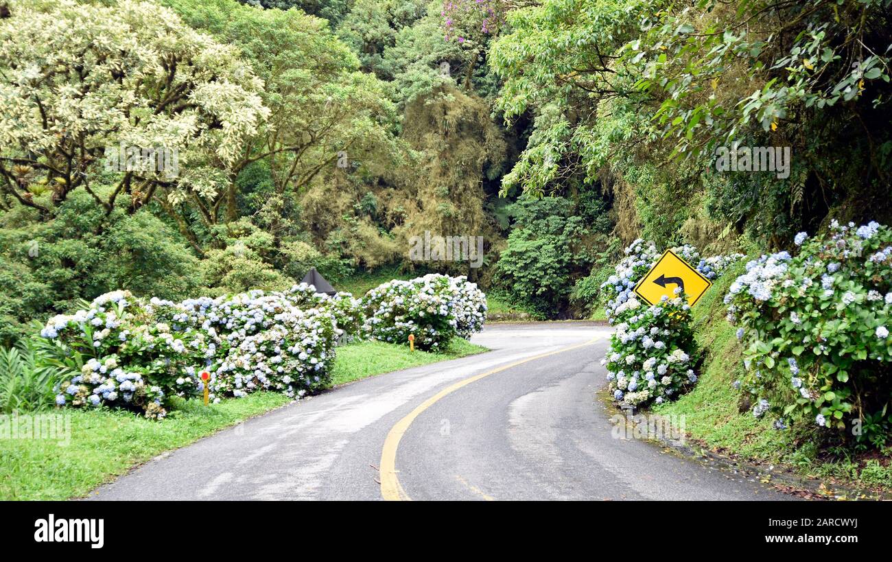 Asphalt road surrounded by nature in Morretes, south Brazil Stock Photo ...