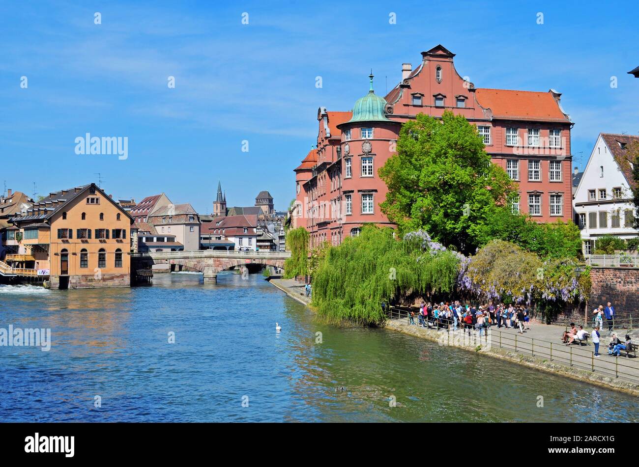 Cityscape with water and houses in Strasbourg France Stock Photo - Alamy