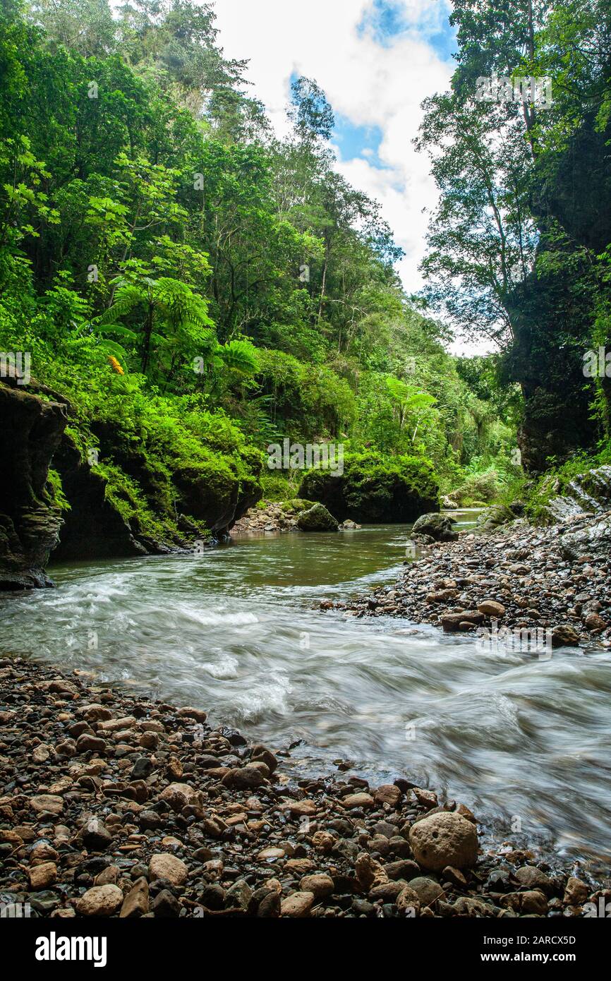 Tanama River, near Utuado, Puerto Rico Stock Photo - Alamy