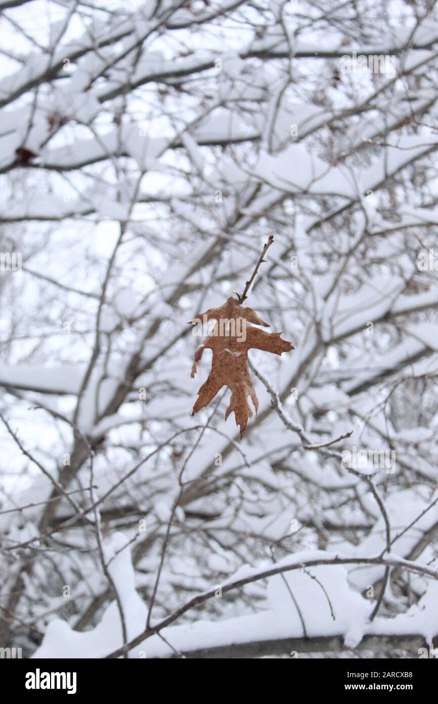 Silent environment hi-res stock photography and images - Alamy