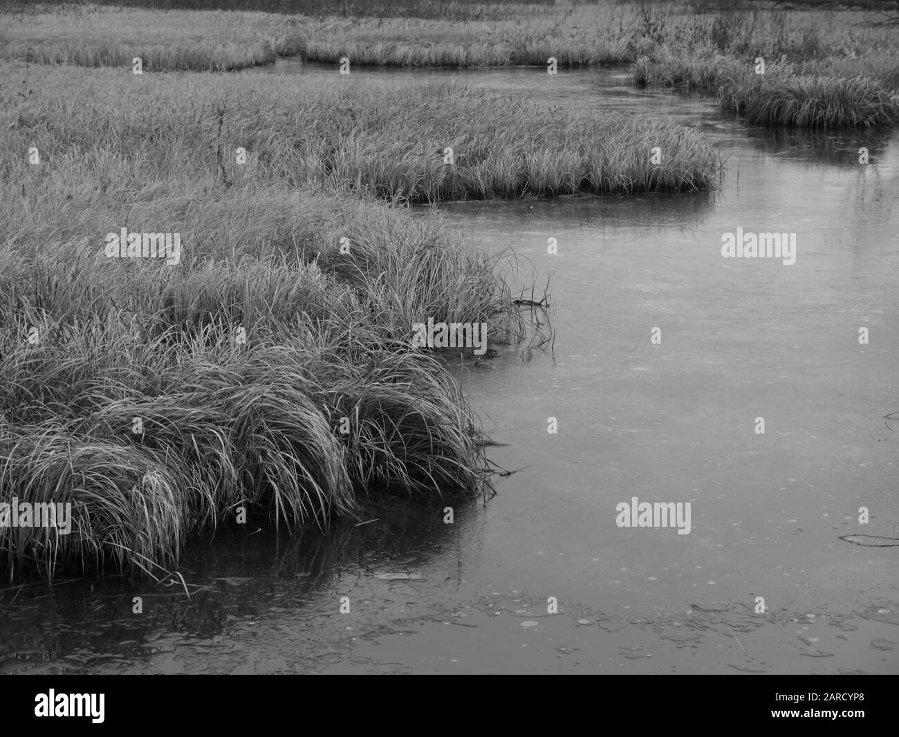 Landscape area Black and White Stock Photos & Images - Alamy