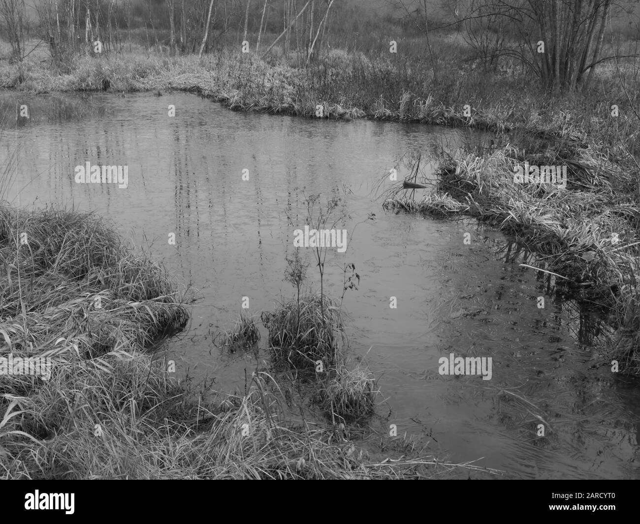 Climate Black and White Stock Photos & Images - Alamy