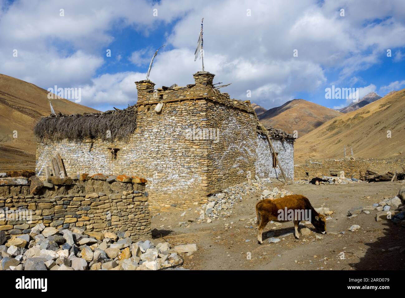 The ethnically Tibetan village of Tokyu near Dho Tarap, visited on the ...