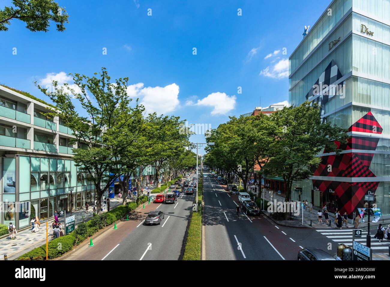 View of Omotesando street with many fashion luxury shops lined along ...
