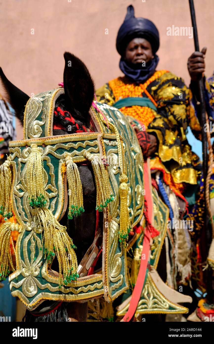 Nobleman rider dressed in a colourful outfit mounting an embellished ...