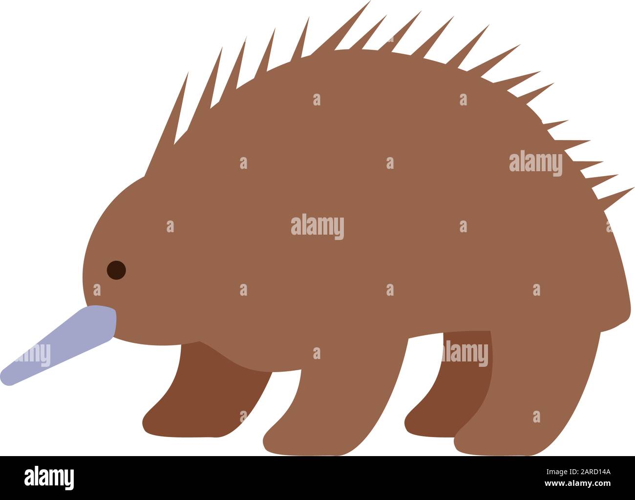Echidna Clipart