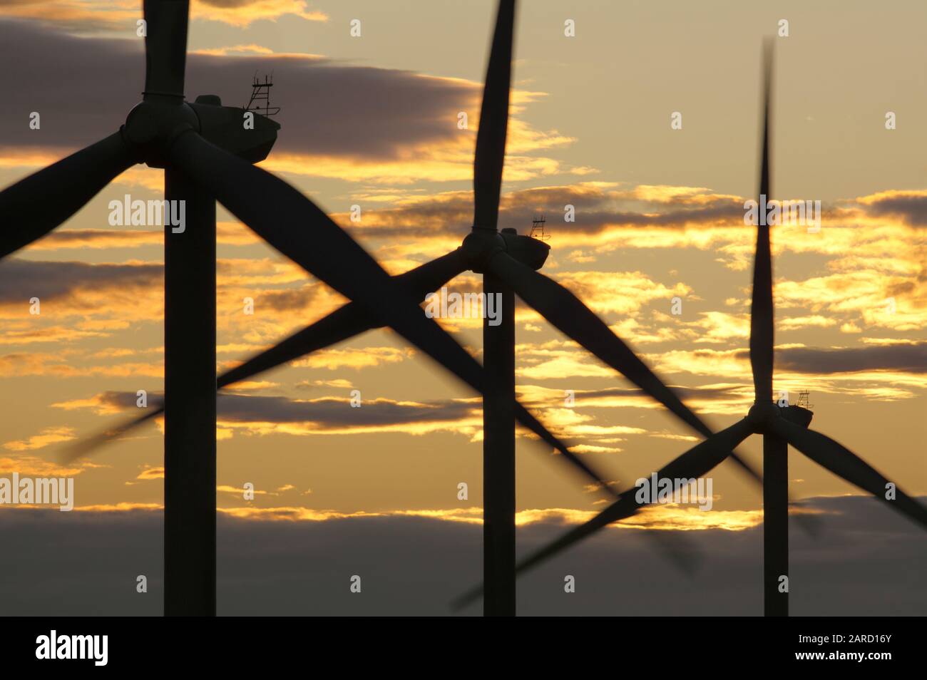 Onshore energy hi-res stock photography and images - Alamy