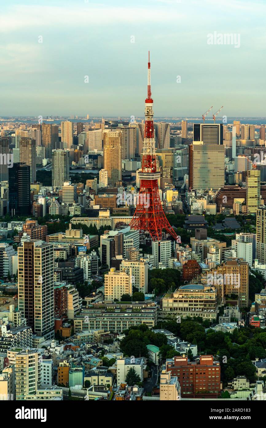 Tokyo Tower among the skyscrapers at sunset. Tokyo Tower is the most ...