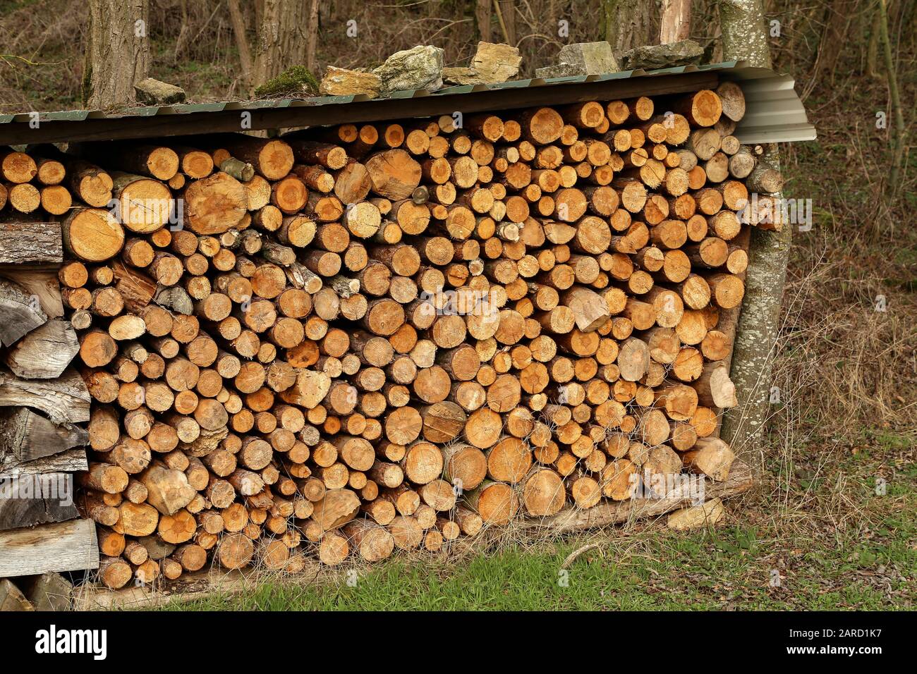 Firewood for the winter, stacks of firewood Stock Photo - Alamy
