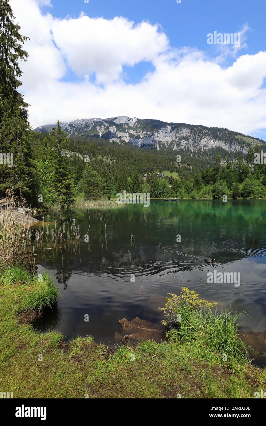 Crestasee lake hi-res stock photography and images - Alamy