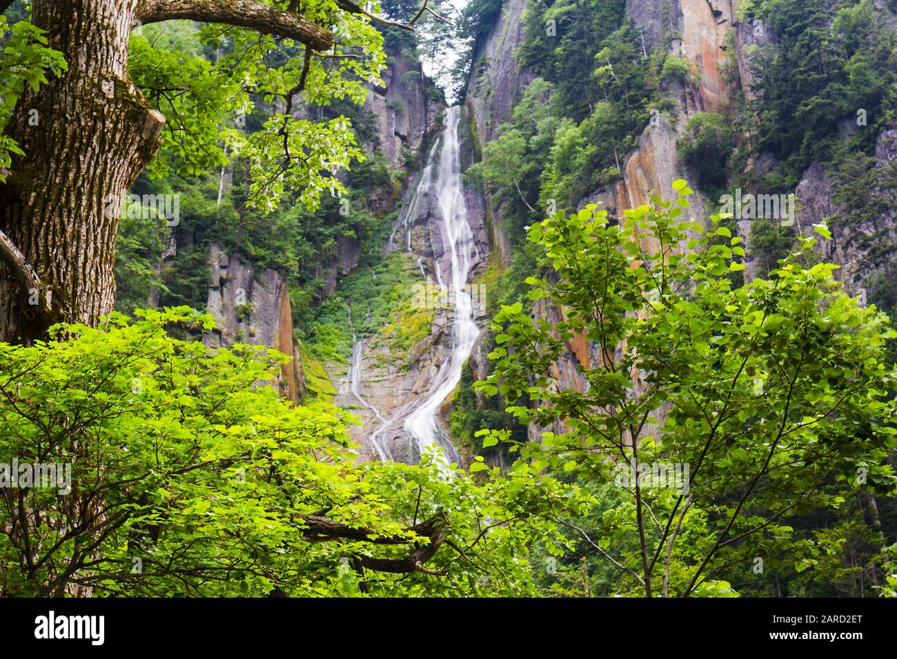 Japan of waterfall hi-res stock photography and images - Alamy