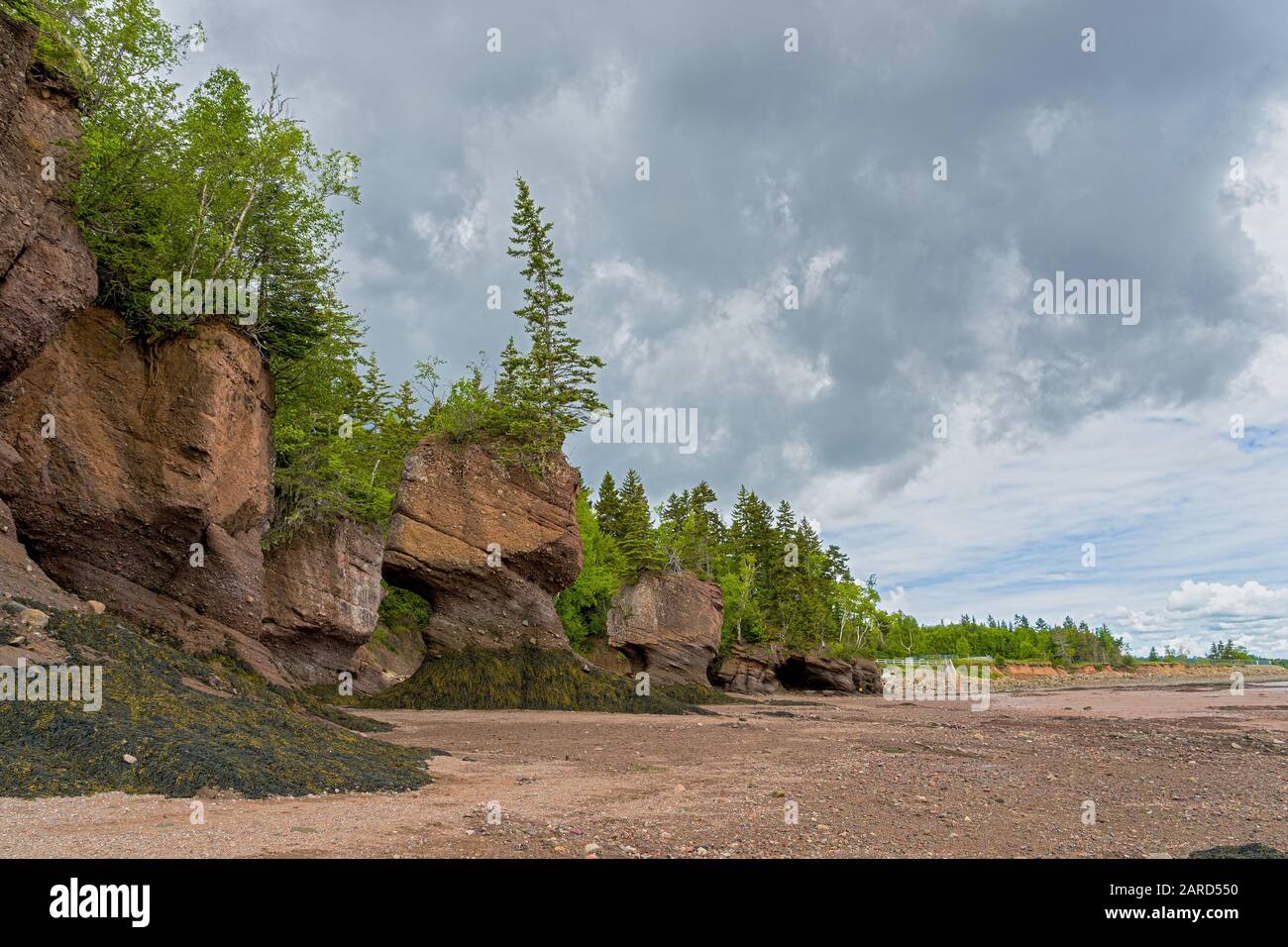 The Hopewell Rocks, commonlycalled the Flowerpots Rocks are rock ...
