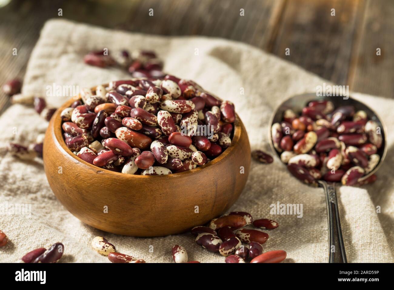 Jacobs cattle bean hi-res stock photography and images - Alamy