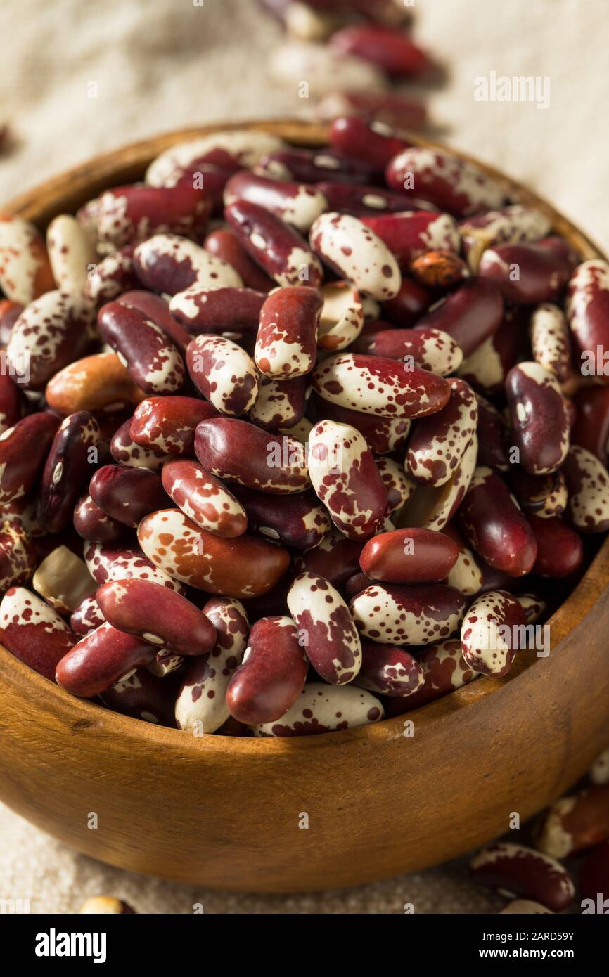 Raw Red Organic Cattle Beans in a Bowl Stock Photo - Alamy