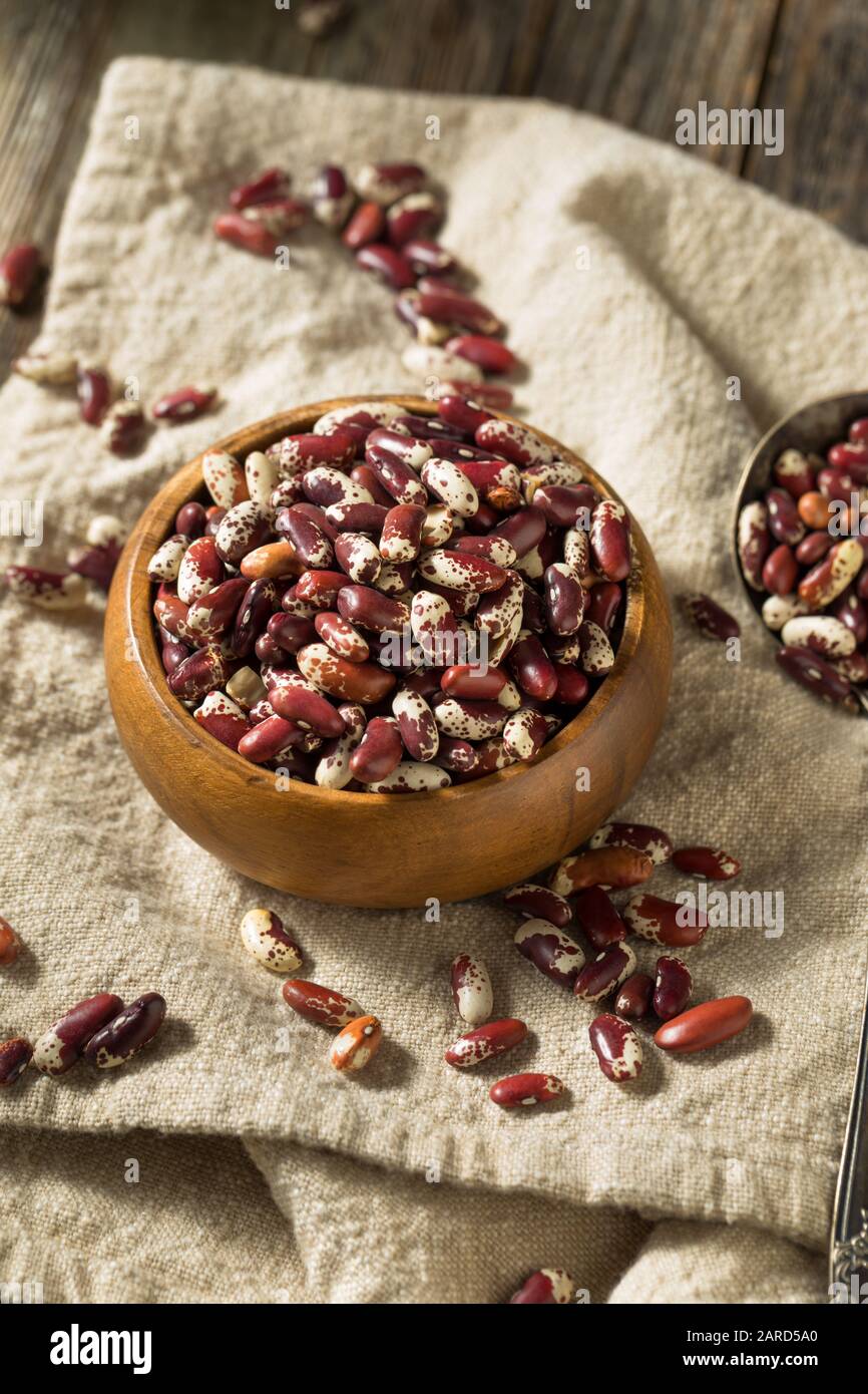 Raw Red Organic Cattle Beans in a Bowl Stock Photo - Alamy