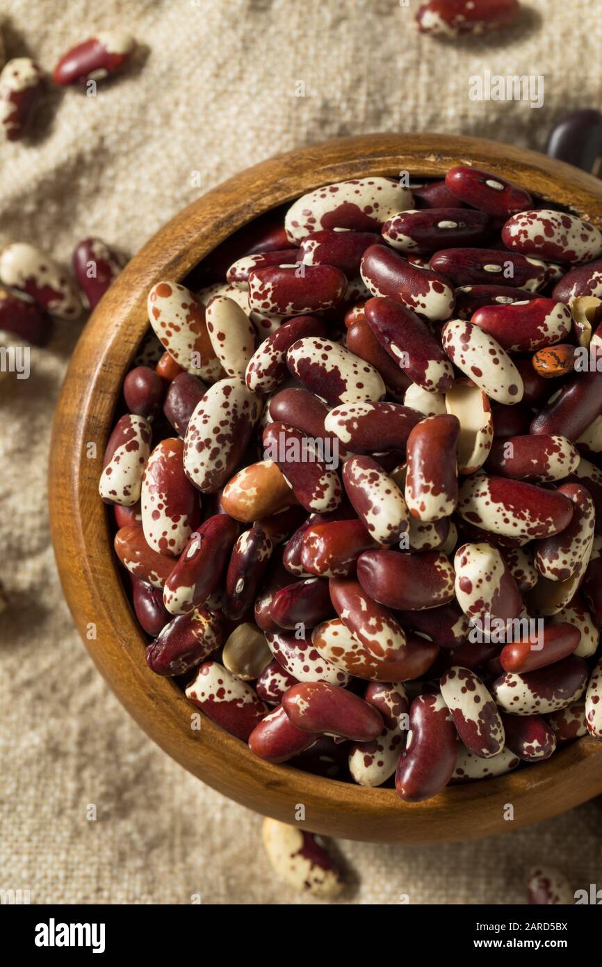 Raw Red Organic Cattle Beans in a Bowl Stock Photo - Alamy