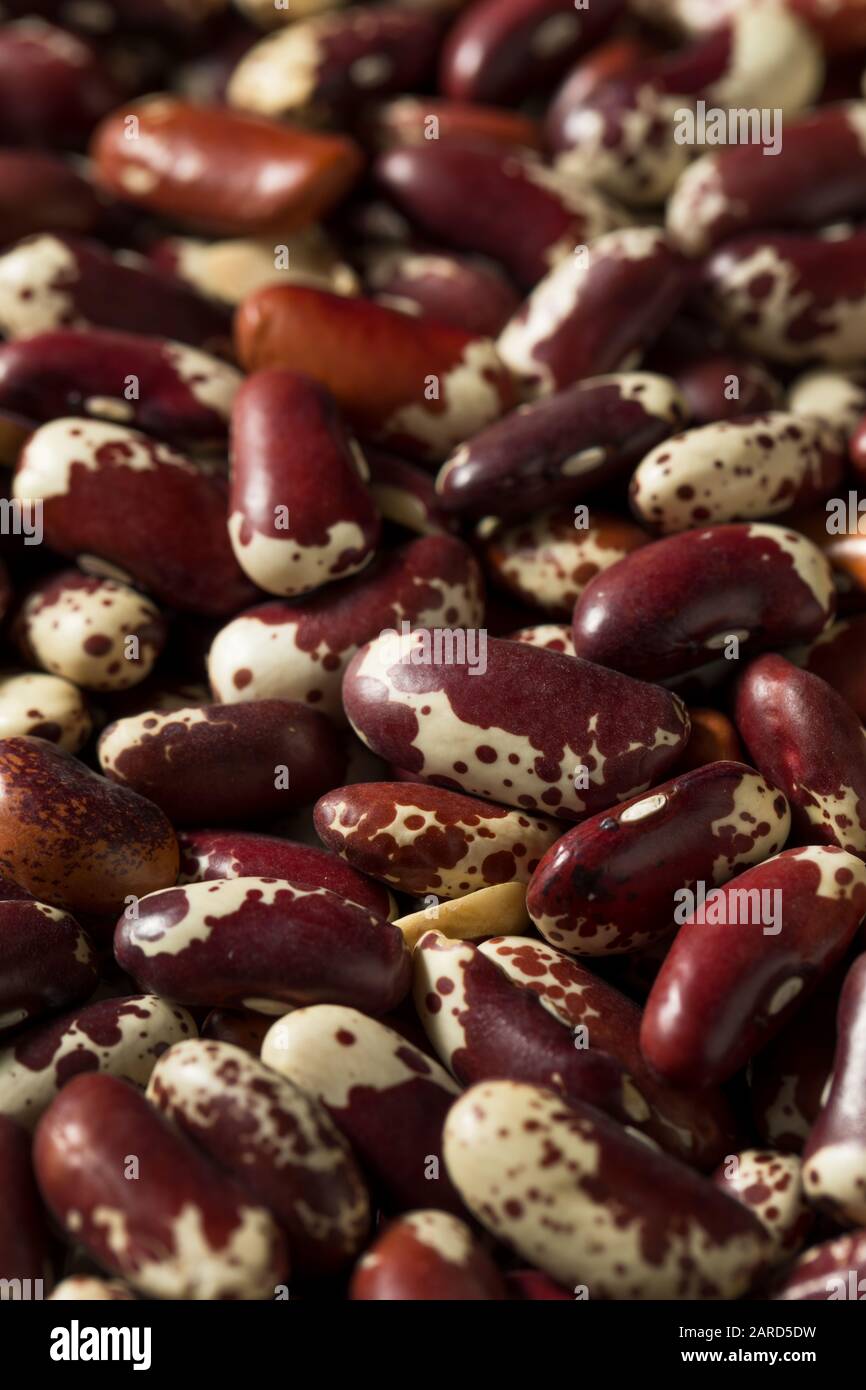 Cow beans hi-res stock photography and images - Alamy