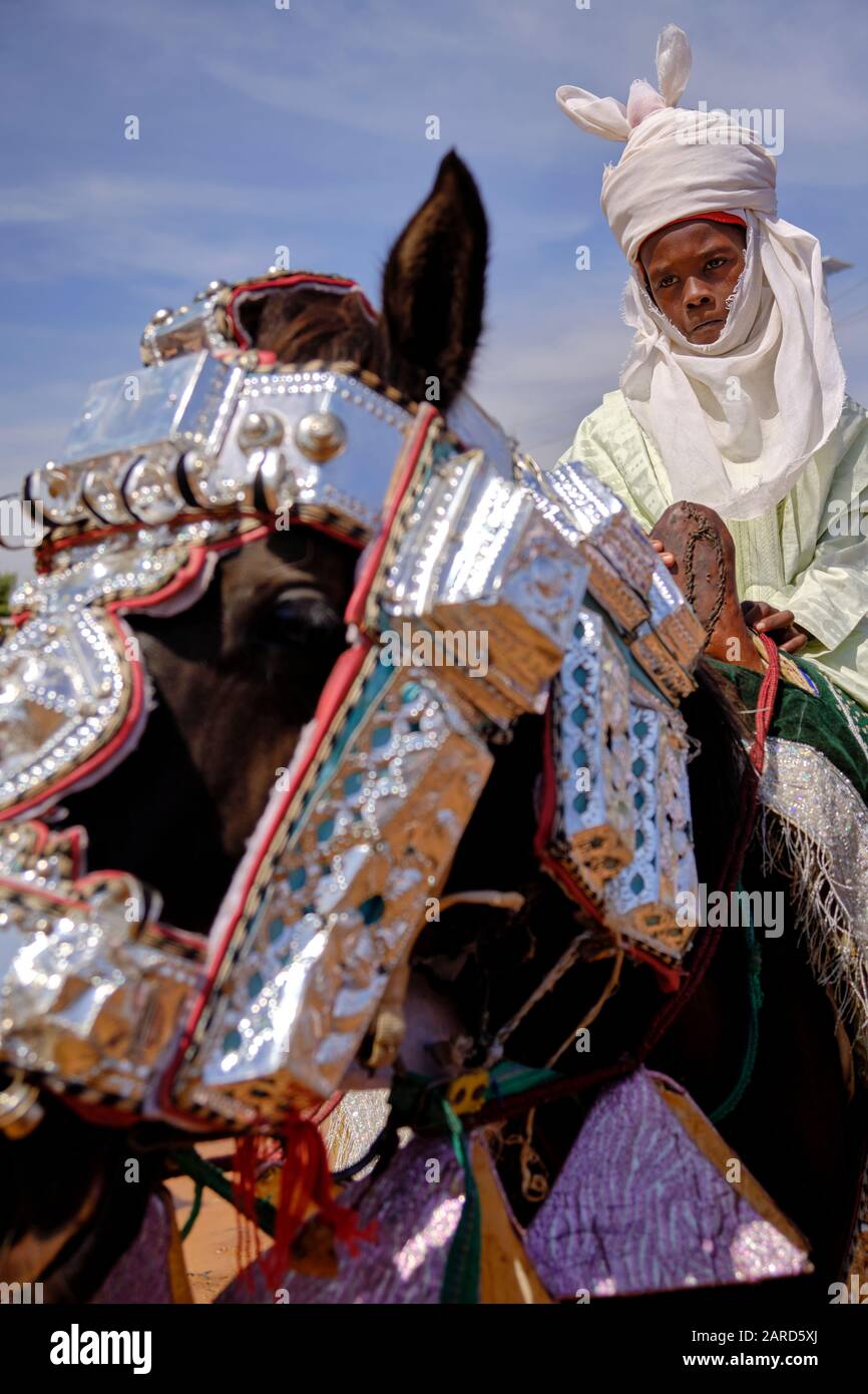Nobleman rider dressed in a colourful outfit mounting an embellished ...
