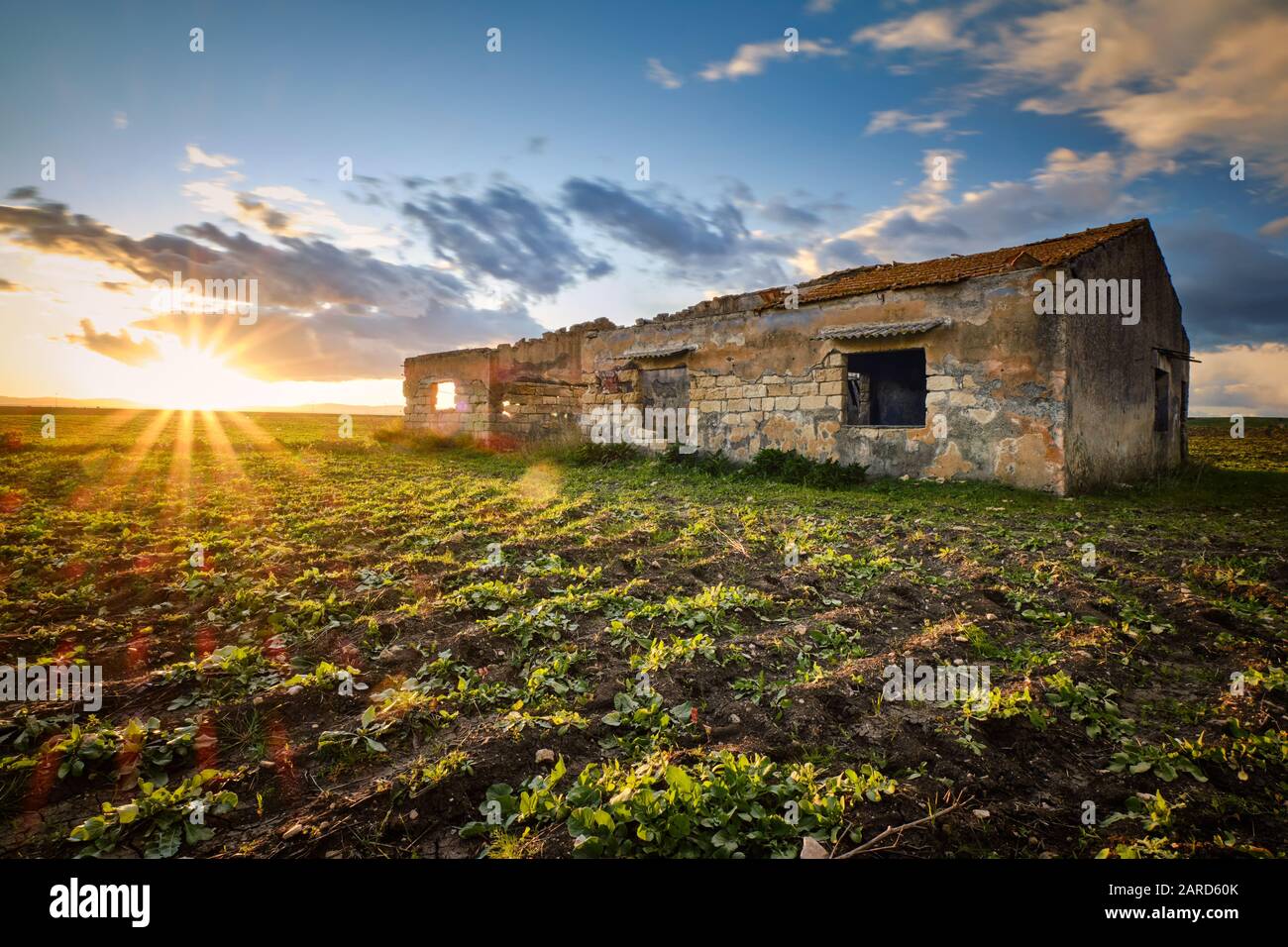Sunset illuminating a traditional barn in the sicilian countryside ...