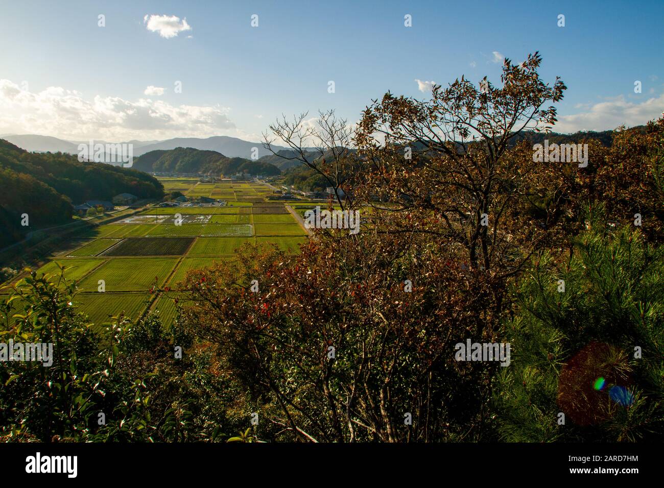 Rice field in the city Toyooka Japan Stock Photo - Alamy
