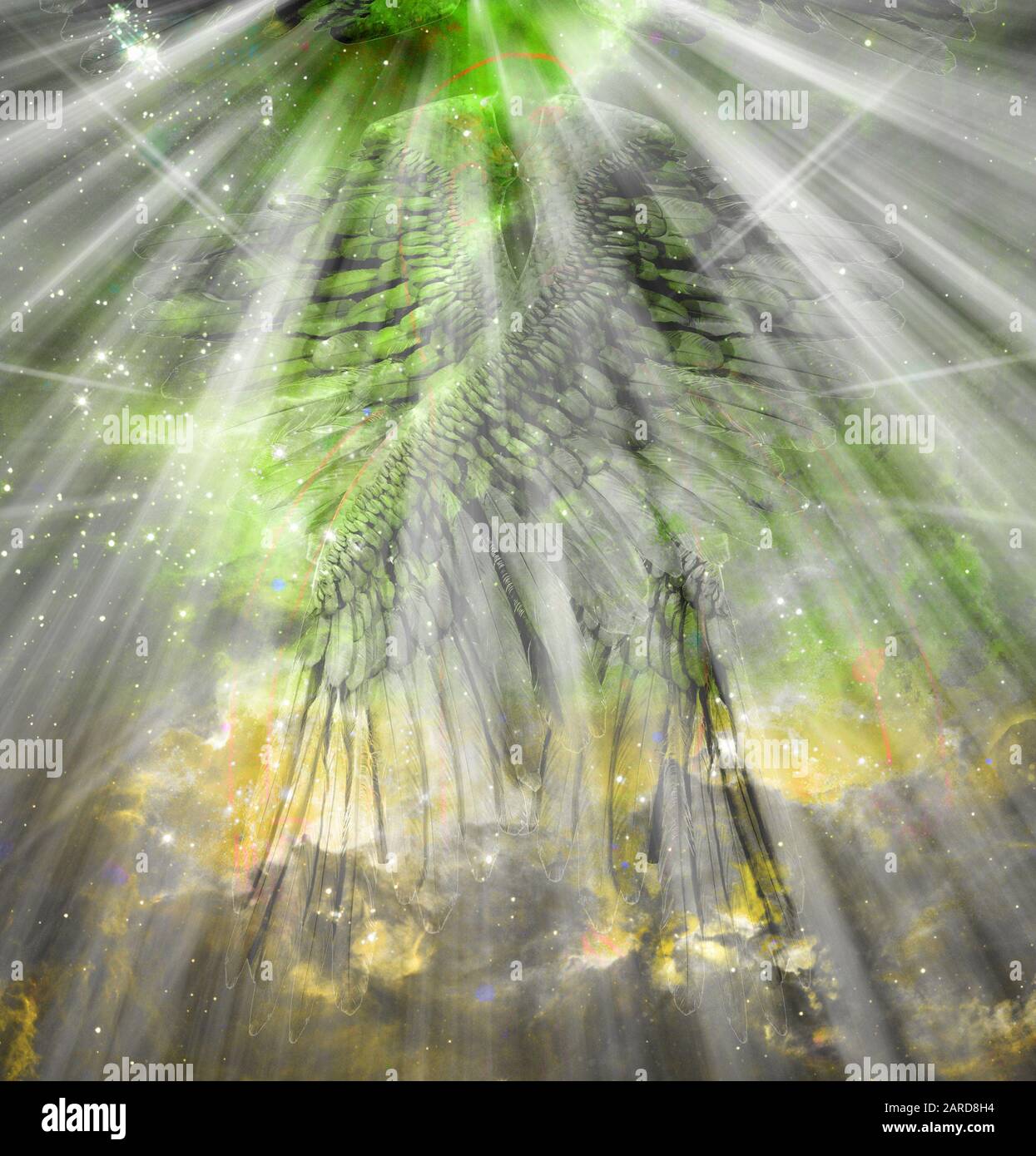 Angel wings and shining light Stock Photo - Alamy