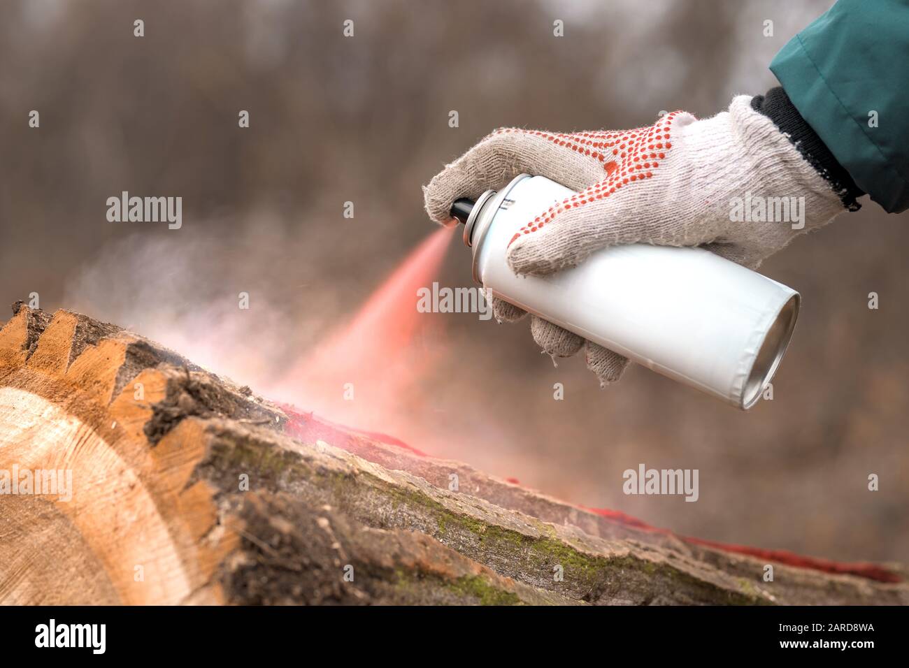 Man cutting tree in forest hi-res stock photography and images - Alamy