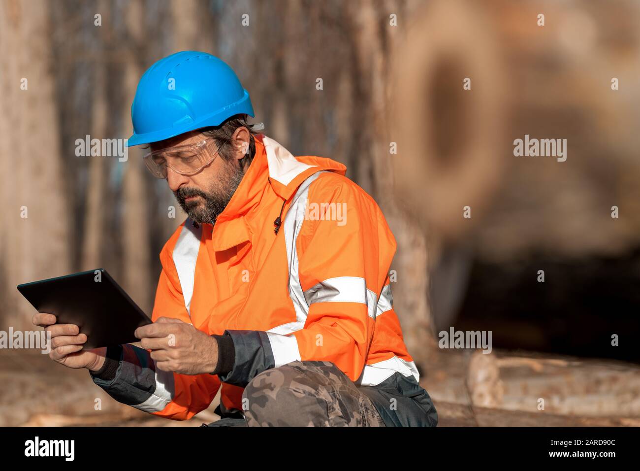Forestry technician using digital tablet computer in forest for logging ...