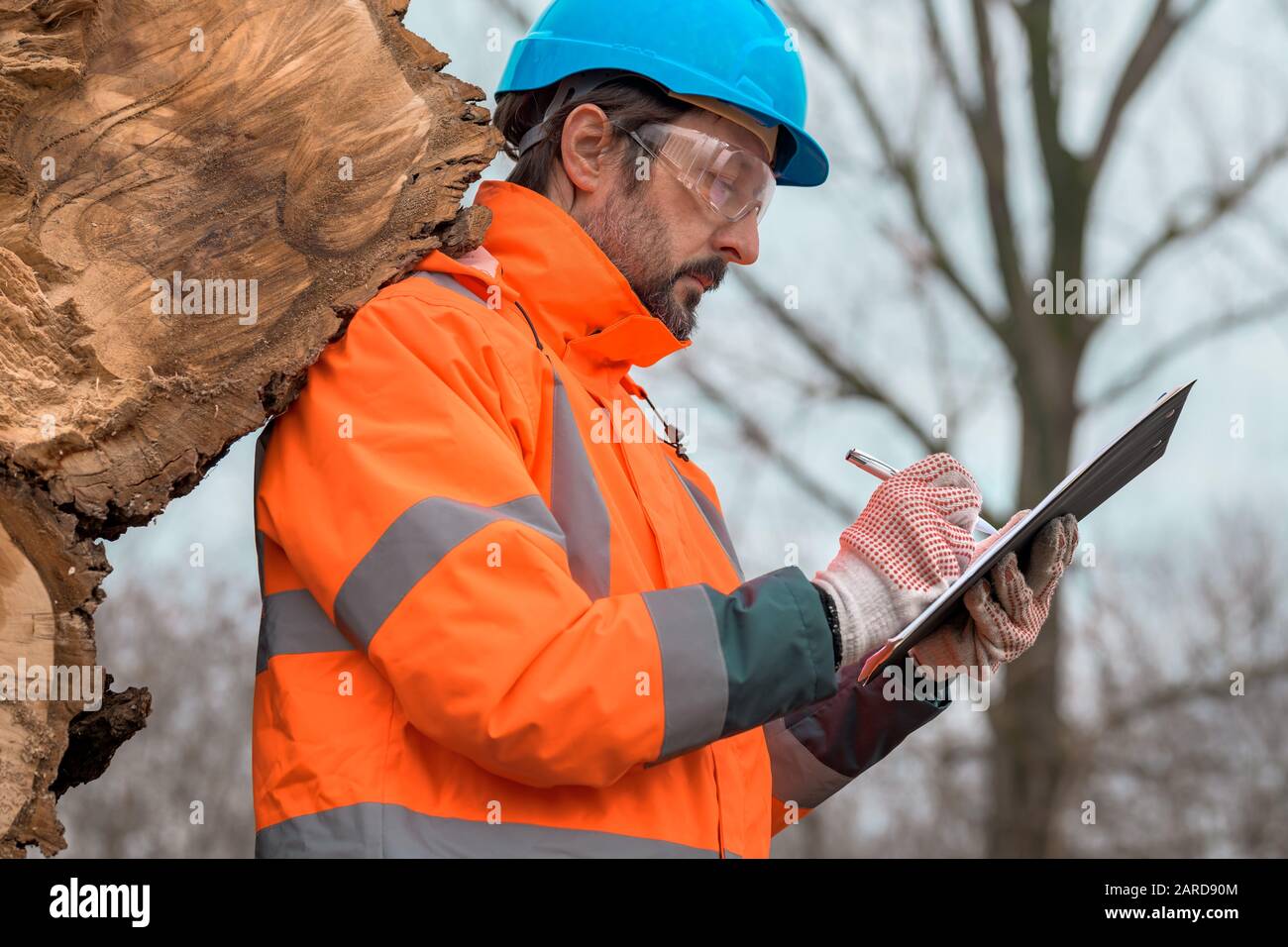 Forestry technician writing notes on clipboard notepad paper in forest ...