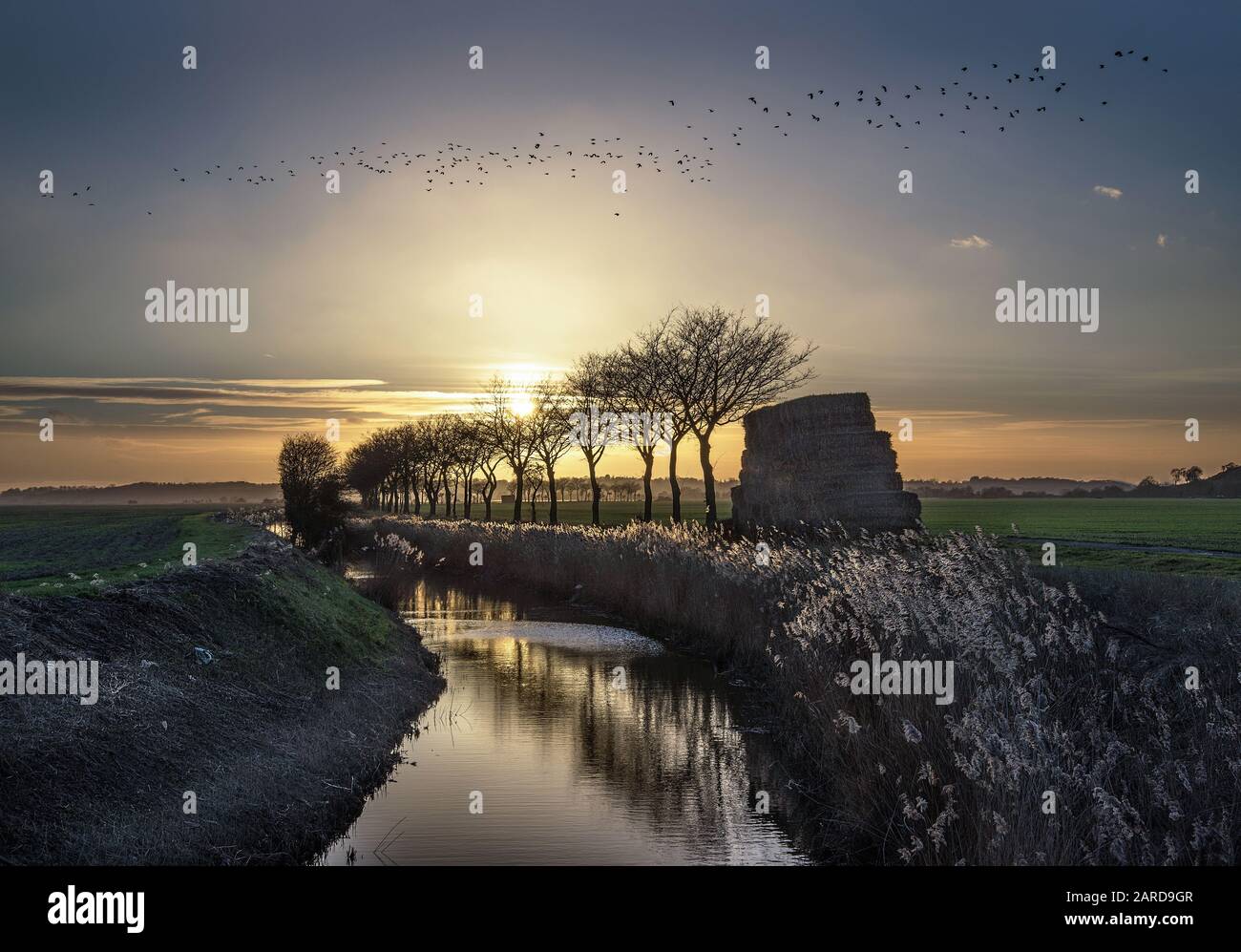 Appledore kent hi-res stock photography and images - Alamy