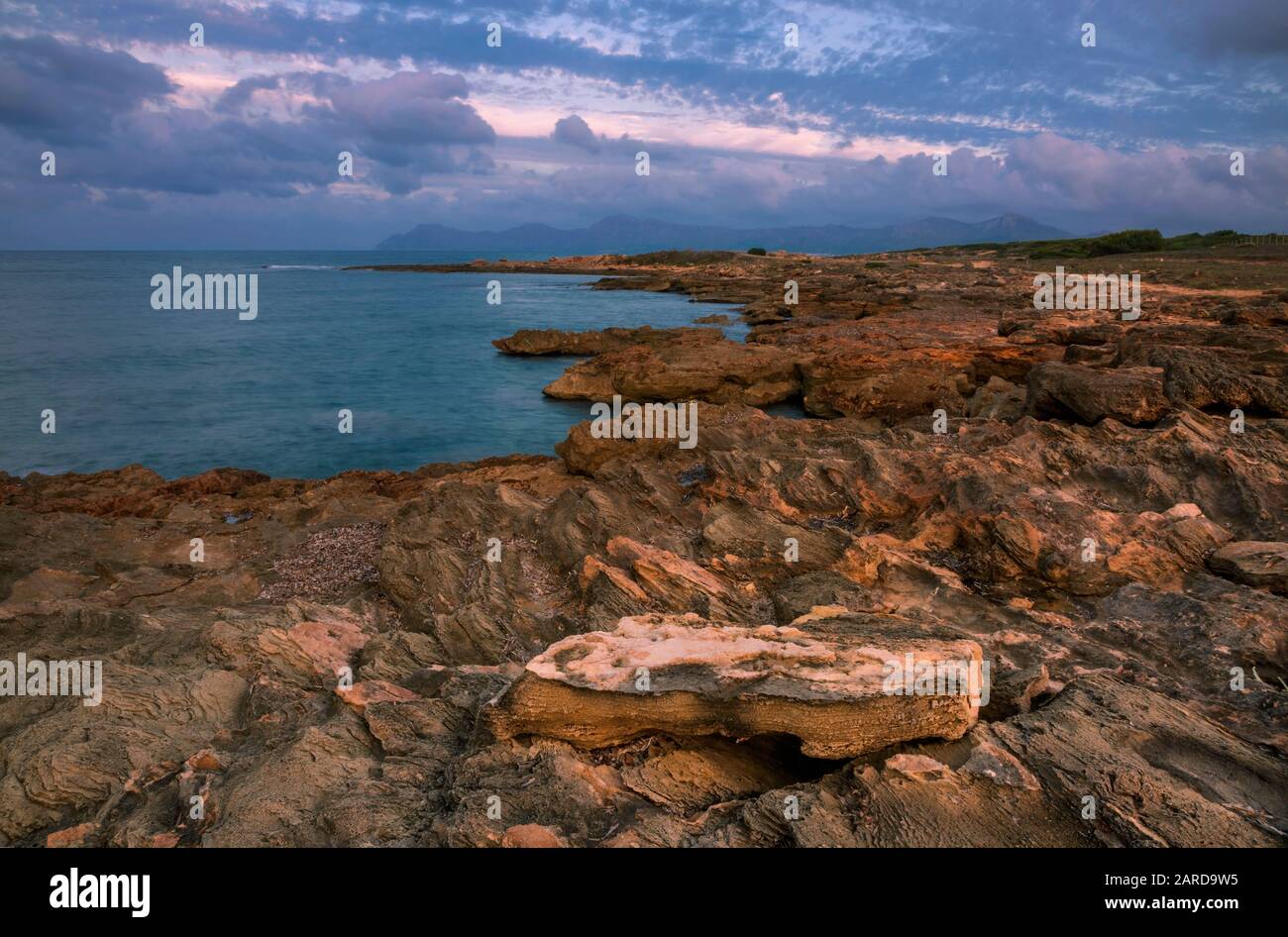 Seacoast near Can Picafort beach in sunset, Mallorca, Balearic islands ...