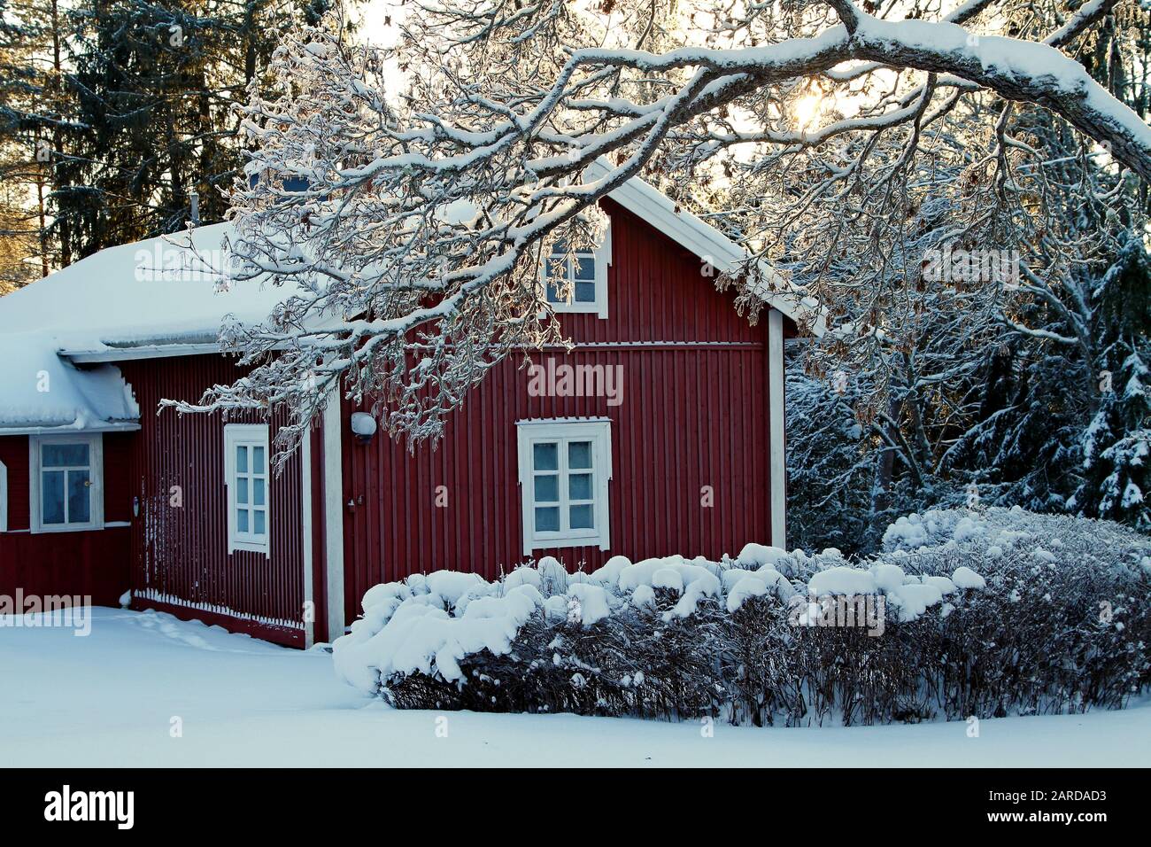 Cold summer cottage and garden in the daylight in January Stock Photo ...