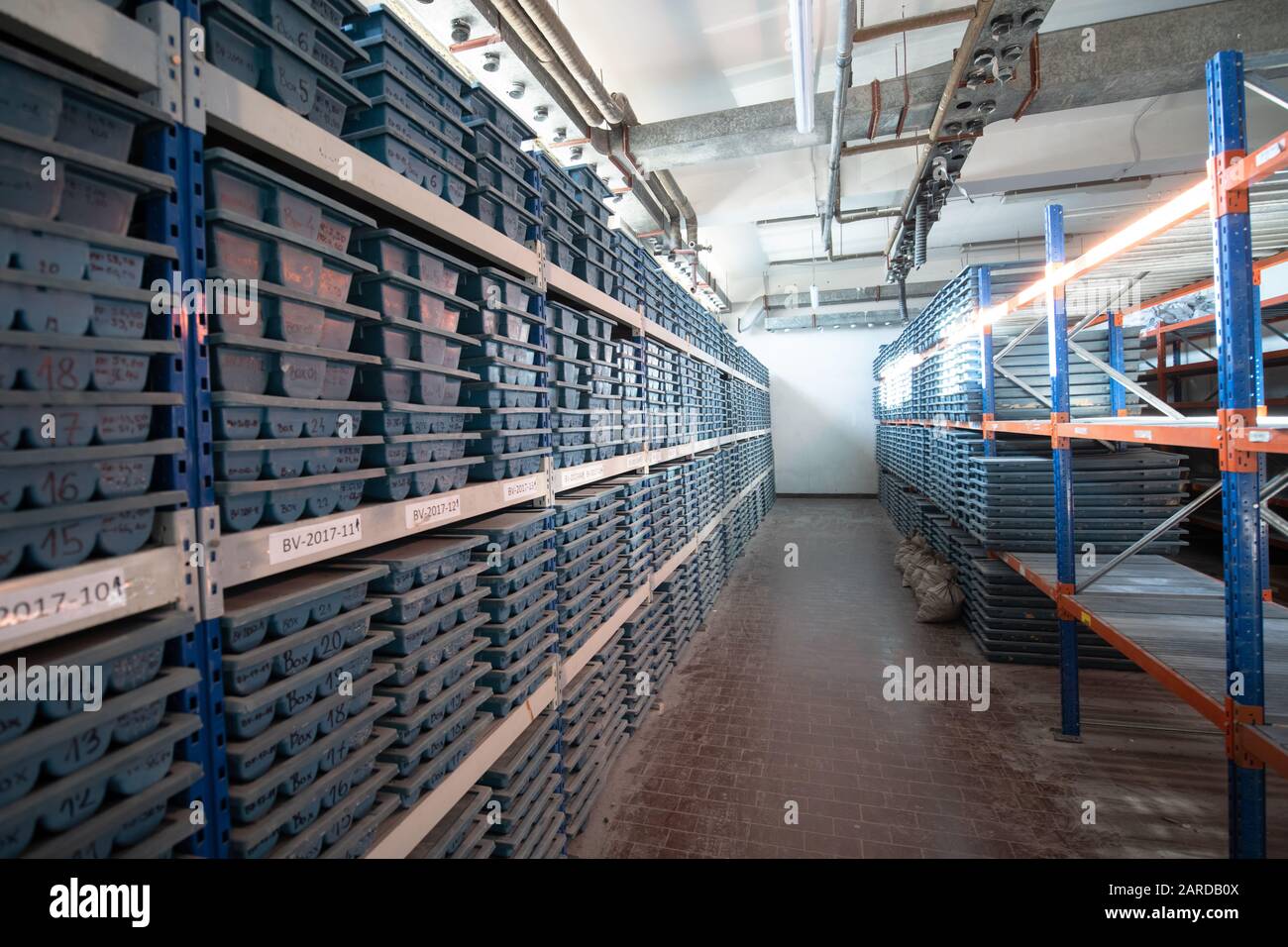 gold mining storage rock core samples geology drilling industy Stock ...