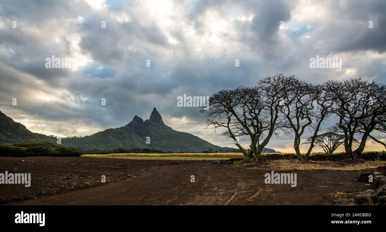 Volcano of mauritius hi-res stock photography and images - Alamy