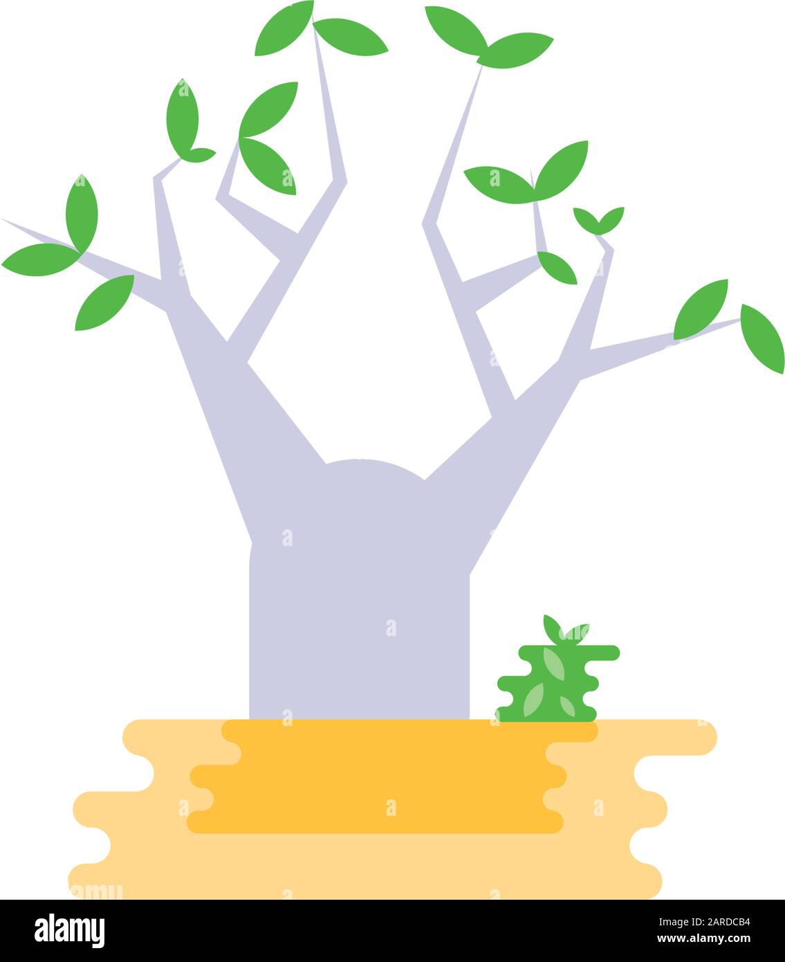 Australian tree design, Nature plant summer season environment natural ...