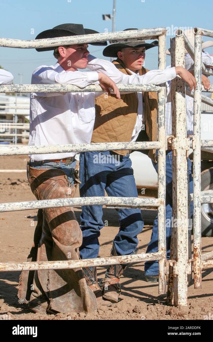 Arizona National Livestock Show, Phoenix, Arizona Stock Photo - Alamy