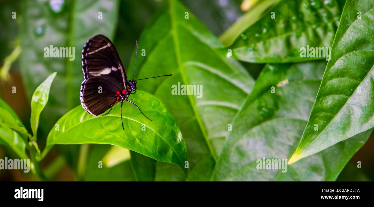Bug basin hi-res stock photography and images - Alamy