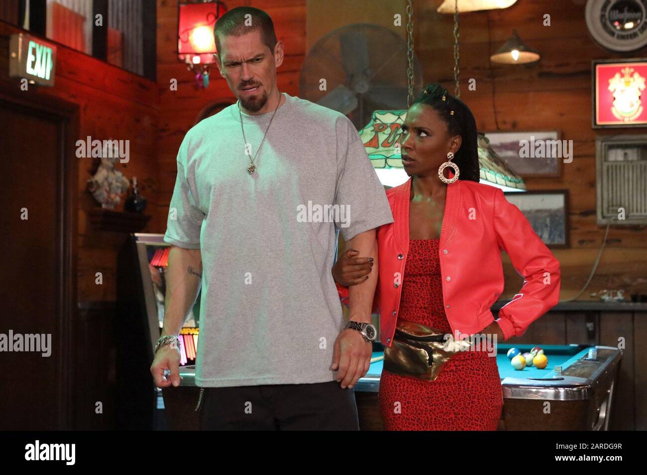 SHAMELESS, from left: Steve Howey, Shanola Hampton, 'Citizen Carl ...