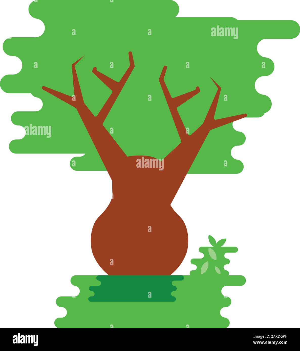 Australian tree design, Nature plant summer season environment natural ...