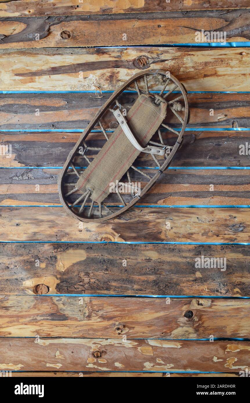 Old trapping cabin log cabin hi-res stock photography and images - Alamy