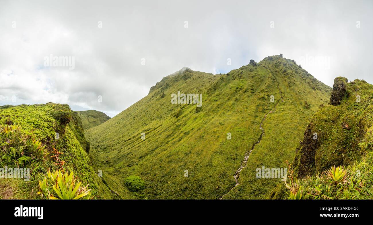Mount Pelee green volcano cone crater panorama, Martinique, French ...