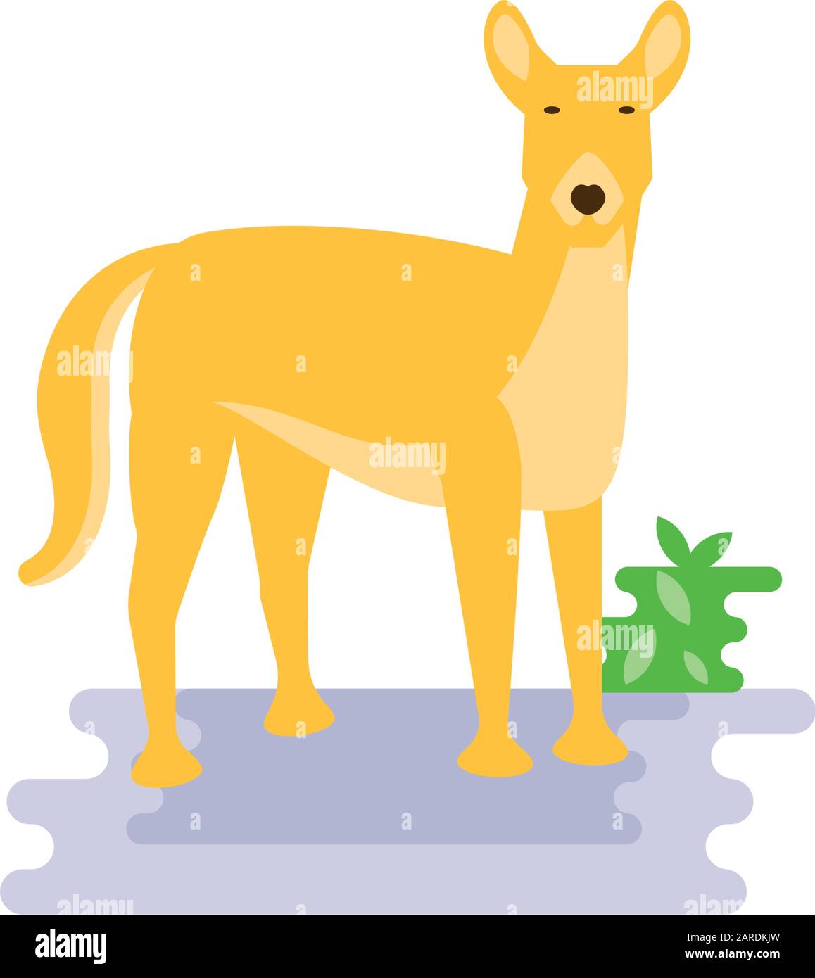 Cute australian dingo design, Animal wildlife life nature native ...
